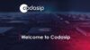 Company - Codasip