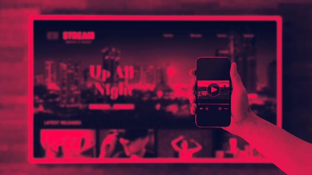 Processor Customization - Codasip