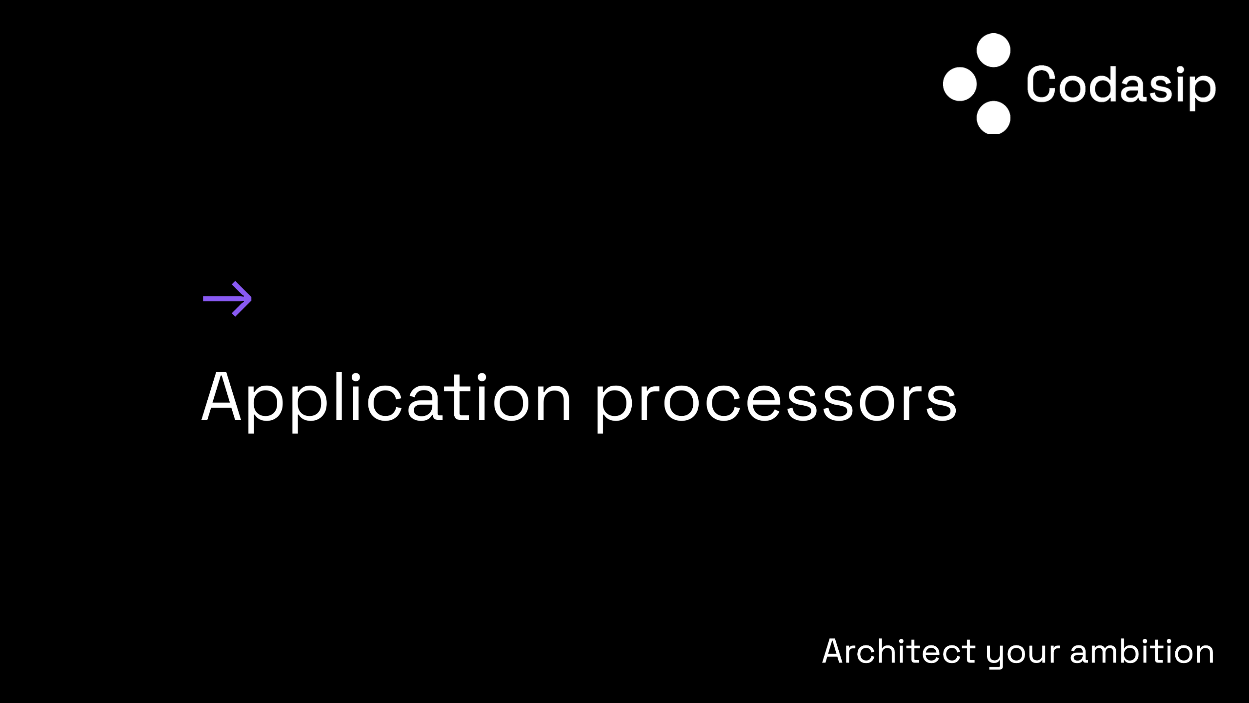 Application Risc V Processors Codasip 9890