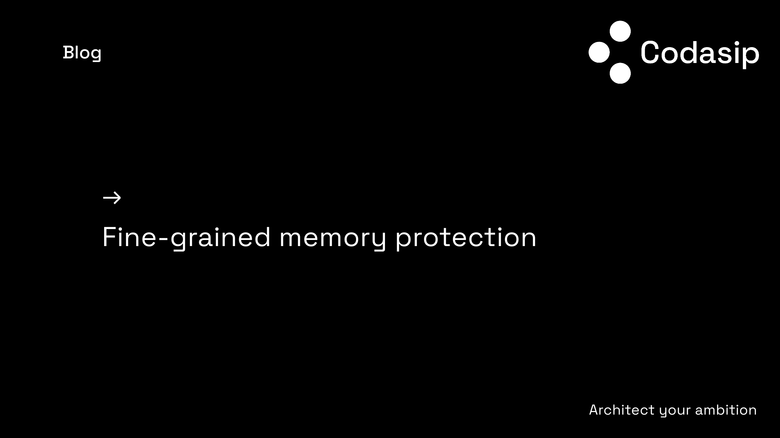 Fine-grained Memory Protection - Codasip Blog